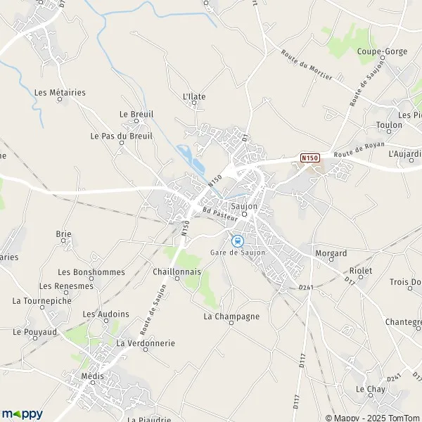 Map Saujon: map of Saujon (17600) and practical information