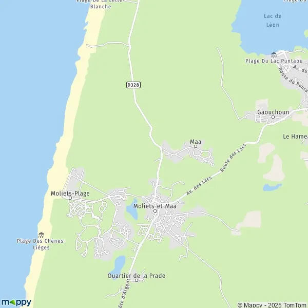 Map Moliets-et-Maa: map of Moliets-et-Maa (40660) and practical information