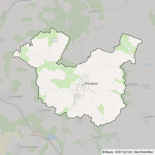 Map Pluvigner: map of Pluvigner (56330) and practical information