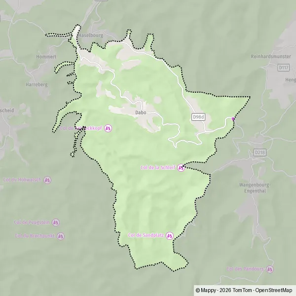 Map Dabo: map of Dabo (57850) and practical information