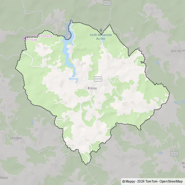 Map Brassy: map of Brassy (58140) and practical information