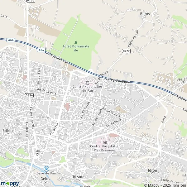 Map Pau: map of Pau (64000) and practical information