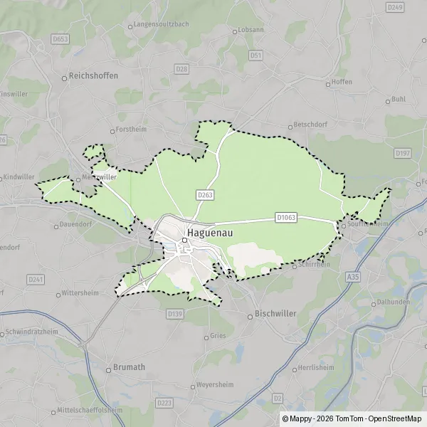 Map Haguenau: map of Haguenau (67500) and practical information