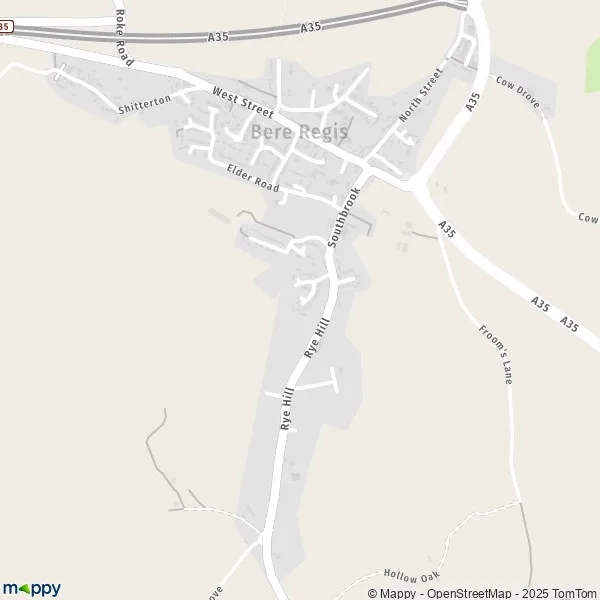 Map Bere Regis: map of Bere Regis, Dorset BH20 7 and practical information