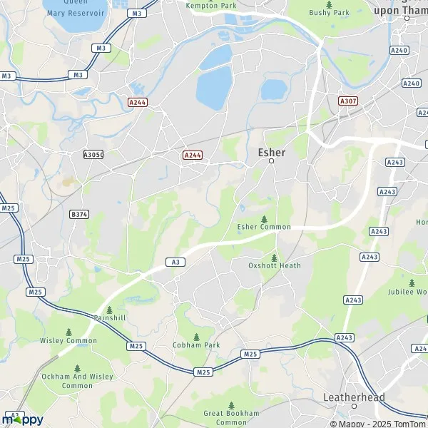 Map Stoke D'Abernon: map of Stoke D'Abernon (KT11 3) and practical ...