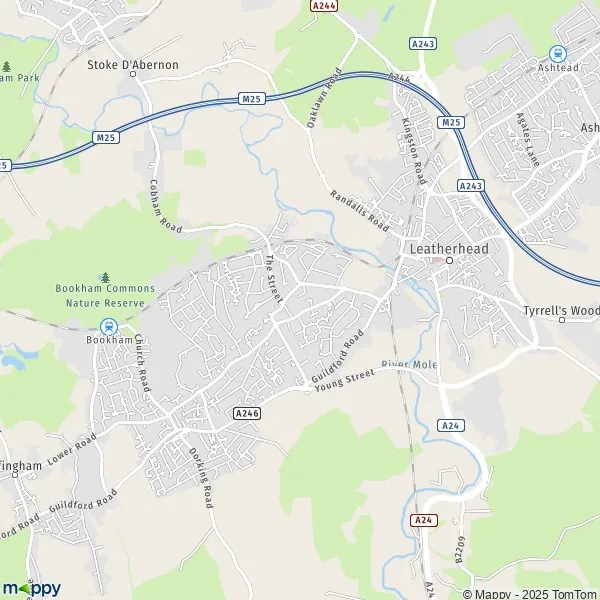 Map Leatherhead: map of Leatherhead, Mole Valley KT22 8 and practical ...