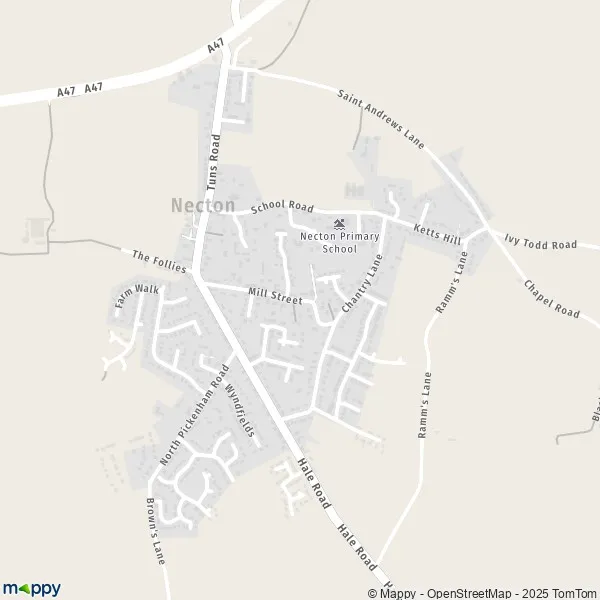 Map Necton: map of Necton, Breckland PE37 8 and practical information