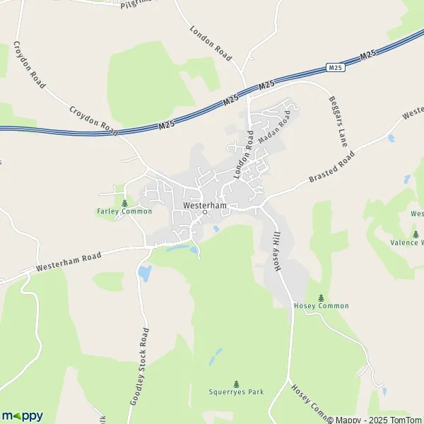 Map Westerham: map of Westerham, Sevenoaks TN16 1 and practical information