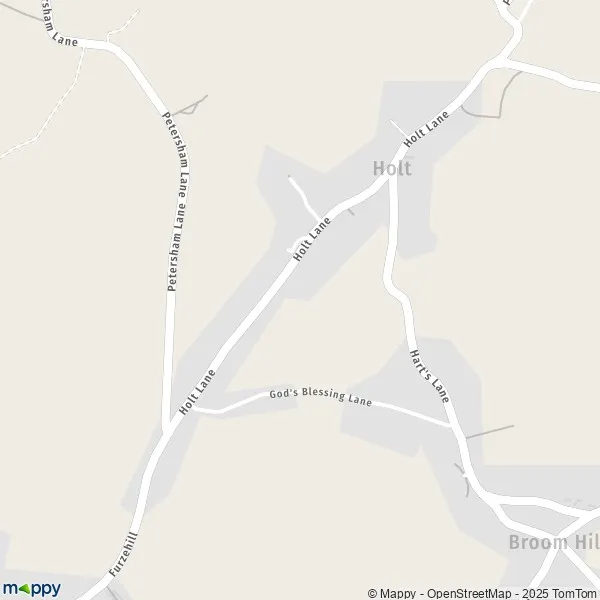 Map Holt: map of Holt (BH21 7) and practical information