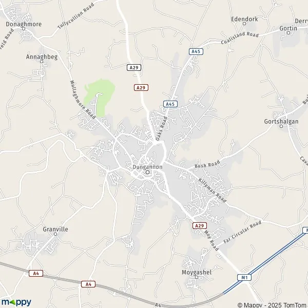 Map Dungannon: map of Dungannon (BT70 1) and practical information