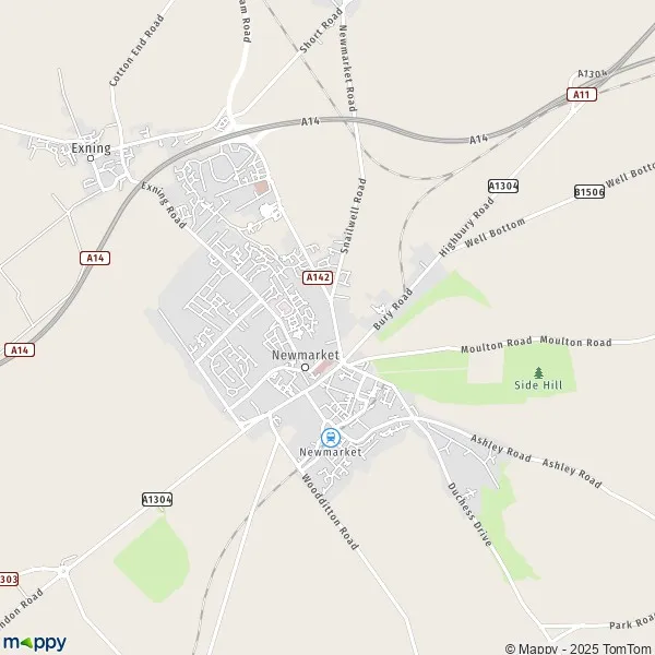Map Newmarket: map of Newmarket (CB8 0) and practical information