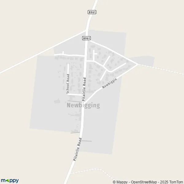 Map Newbigging: map of Newbigging (DD5 3) and practical information