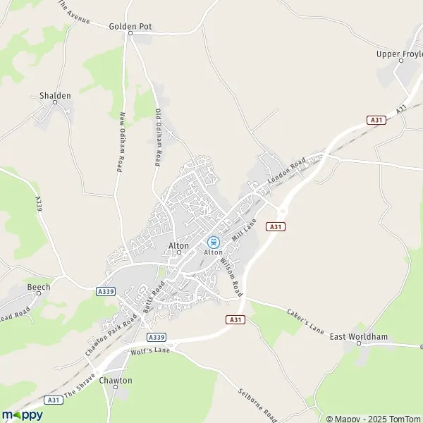 Map Alton: map of Alton (GU34 2) and practical information