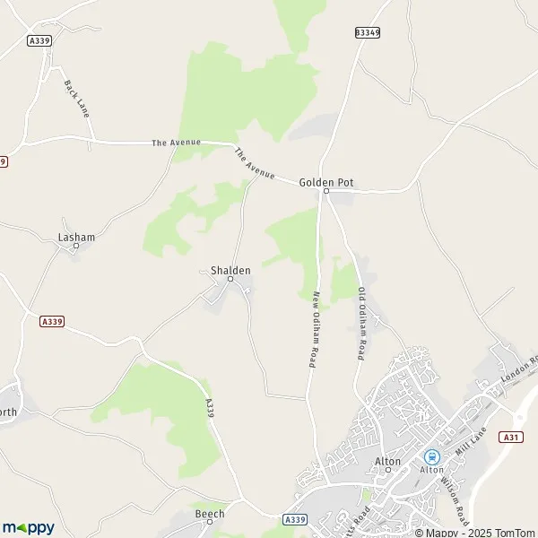 Map Shalden: map of Shalden (GU34 4) and practical information