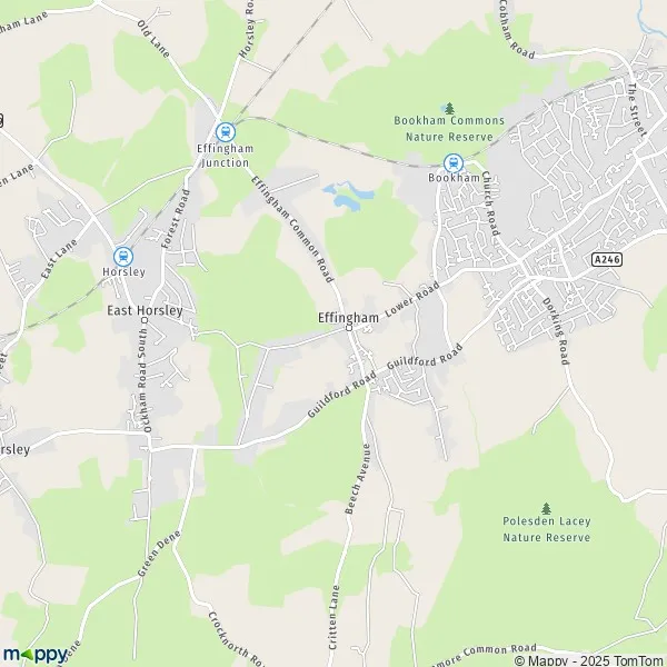 Map Effingham: map of Effingham (KT24 5) and practical information